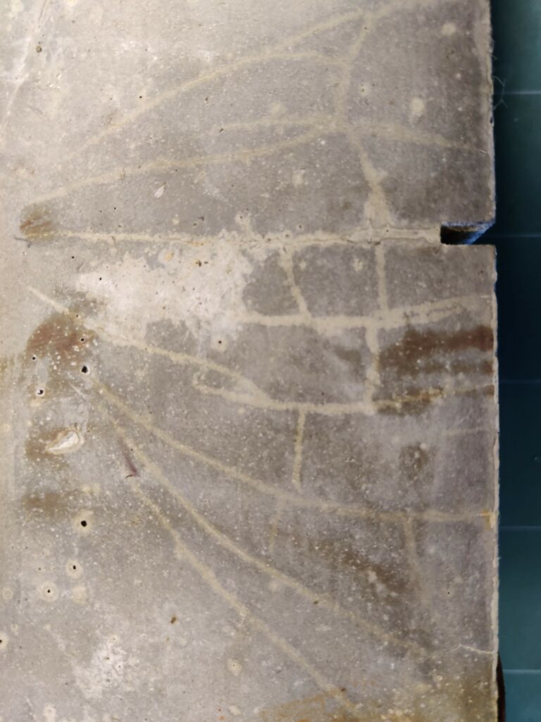 Self-healing concrete rigorously tested in real-world conditions